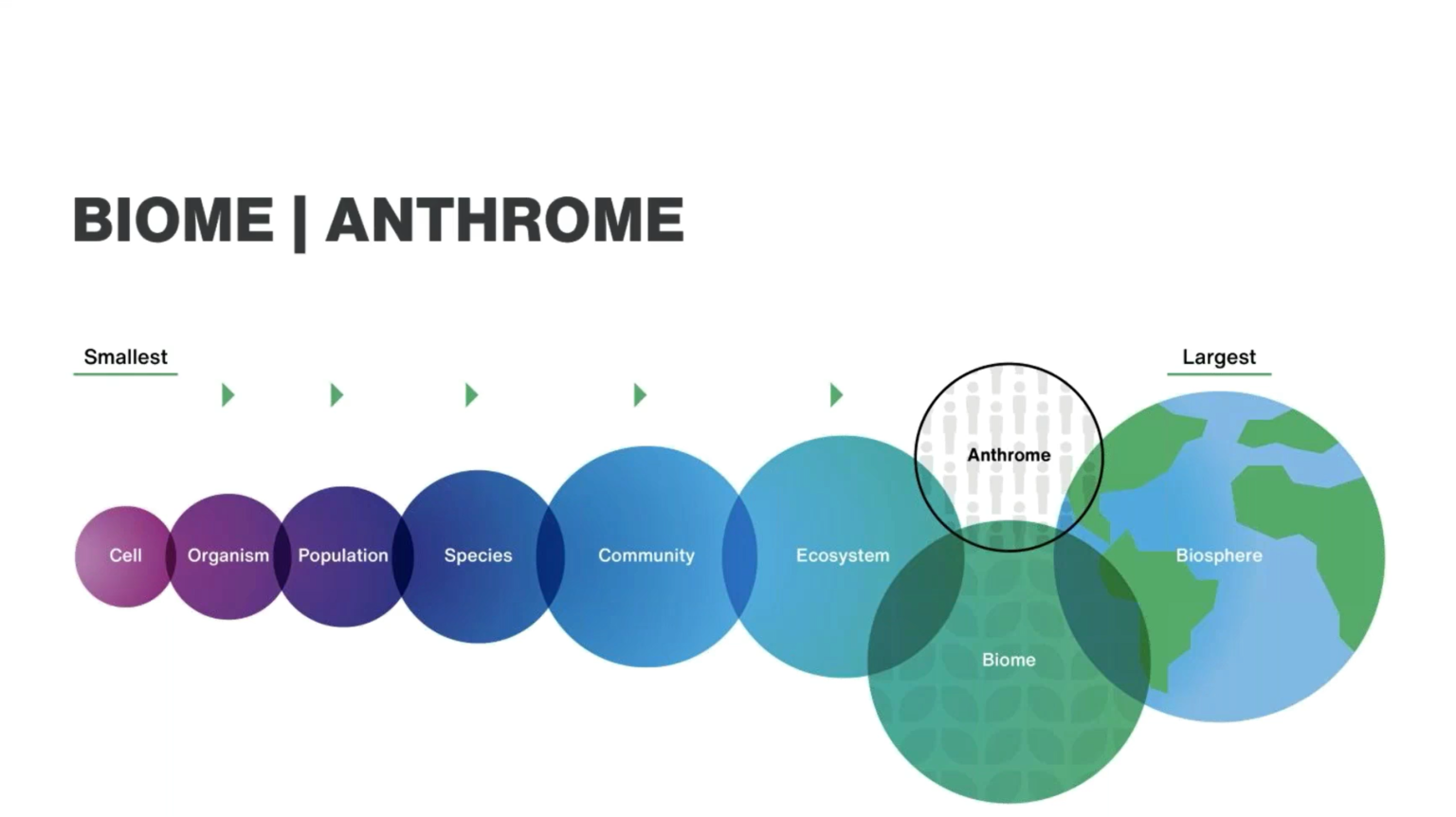 Blog – Uncommon Gardens